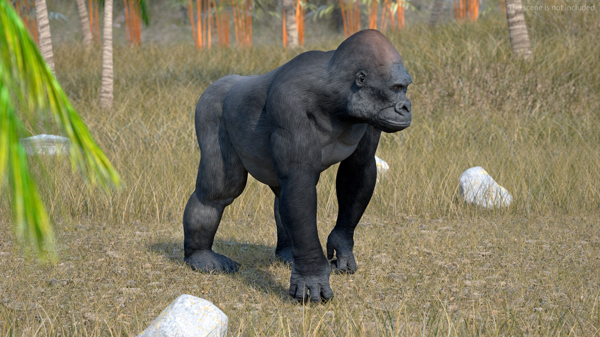 3D Eastern Gorilla Walking Pose - TurboSquid 2193915