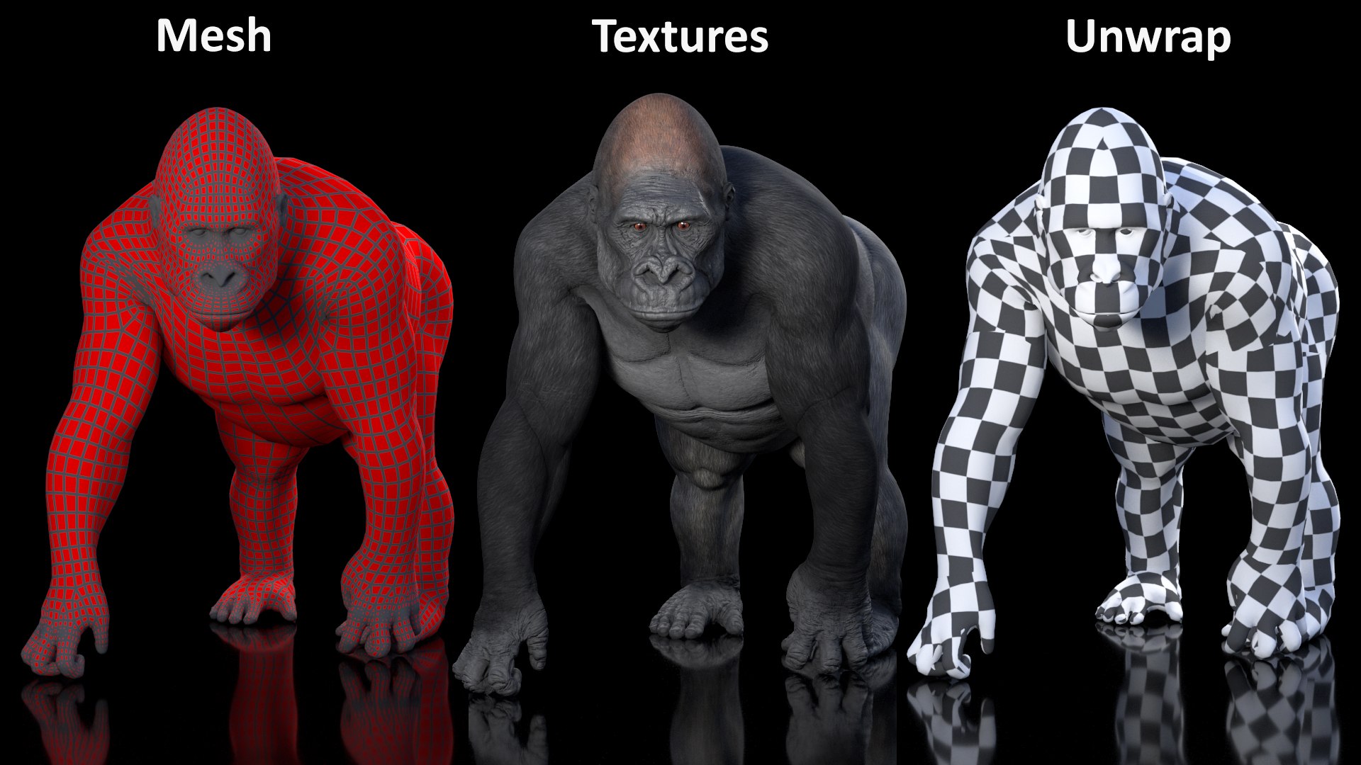 3D Eastern Gorilla Walking Pose - TurboSquid 2193915