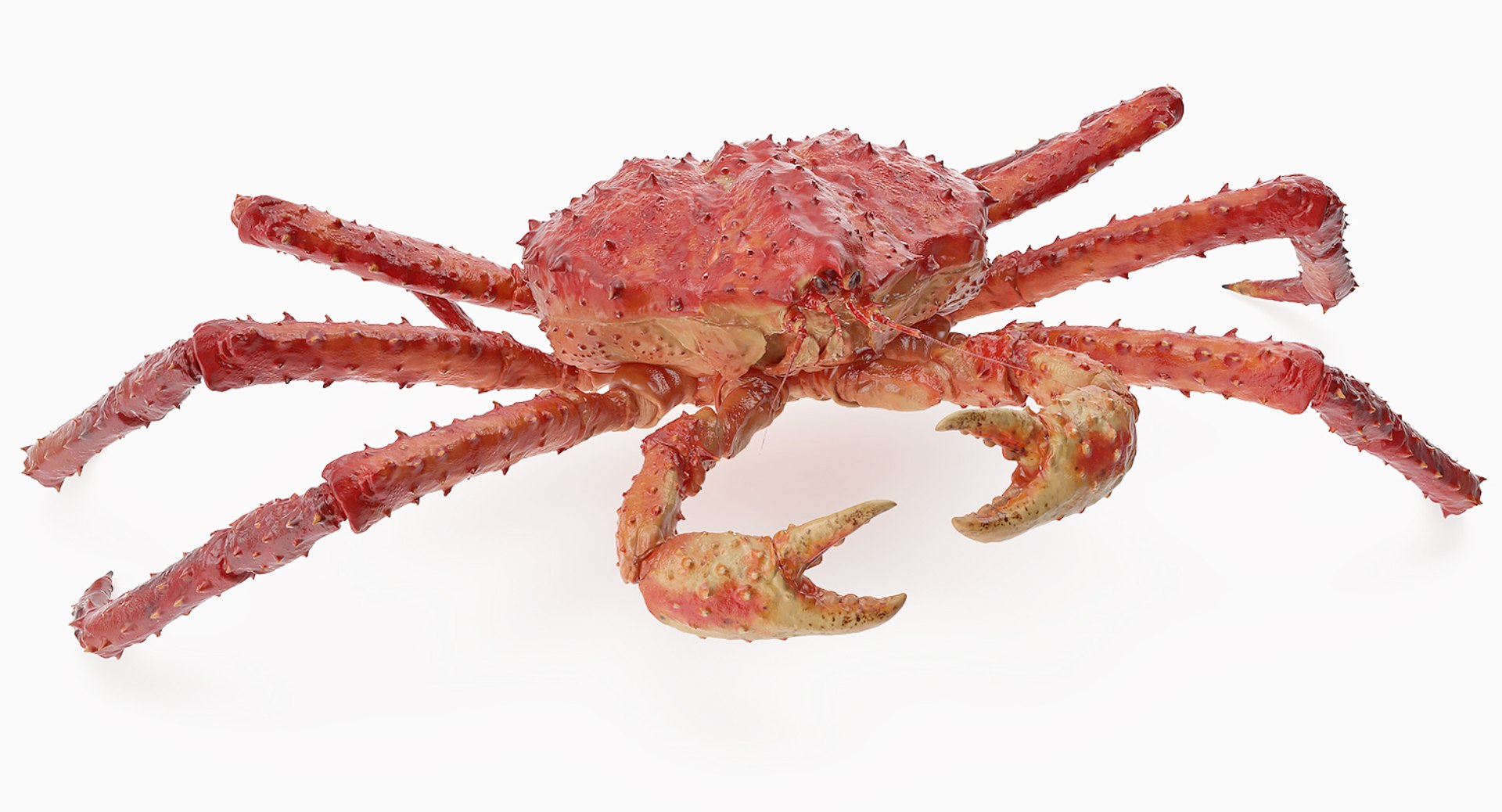 3D Red King Crab Rigged - TurboSquid 1181530