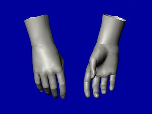 Hand 3D Models for Download | TurboSquid