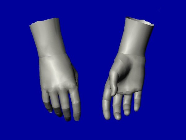Hand 3D Models for Download | TurboSquid