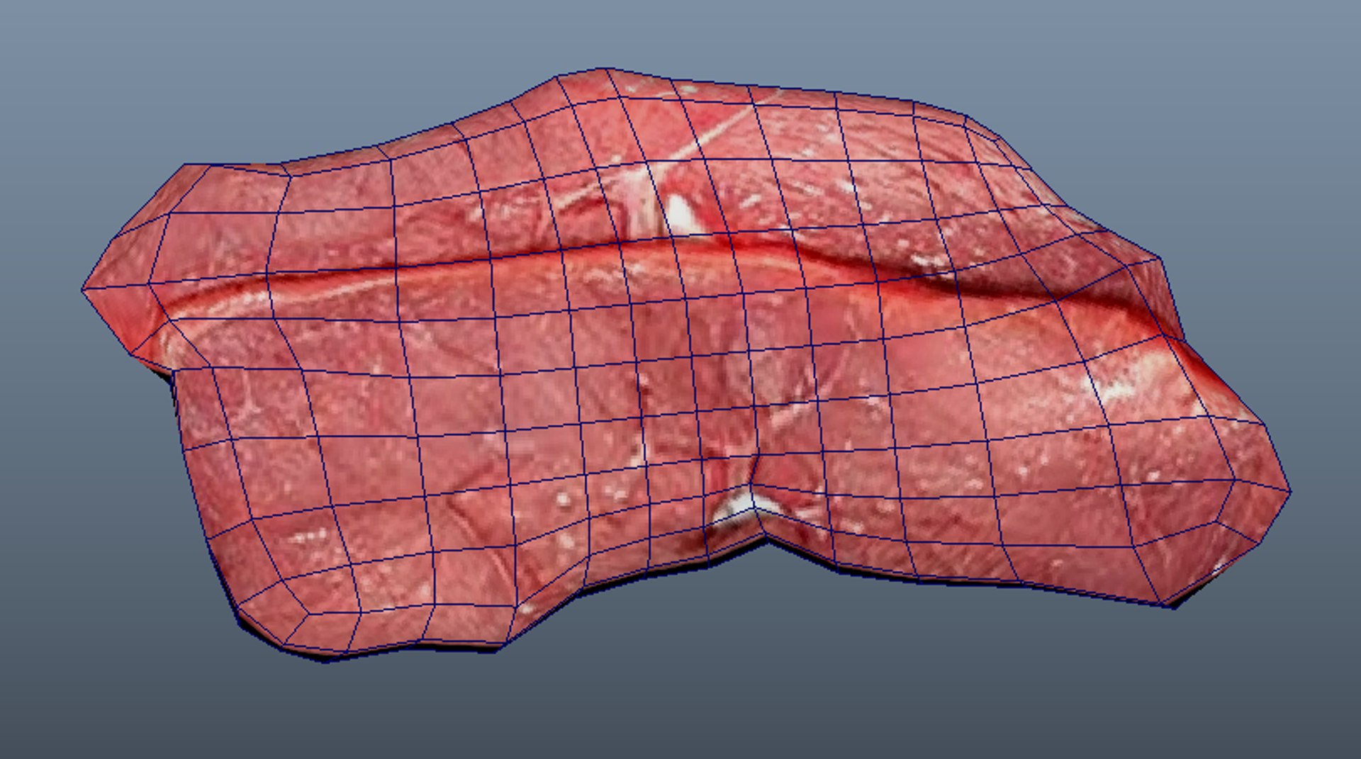 Cow Meat 3D Model - TurboSquid 1461657