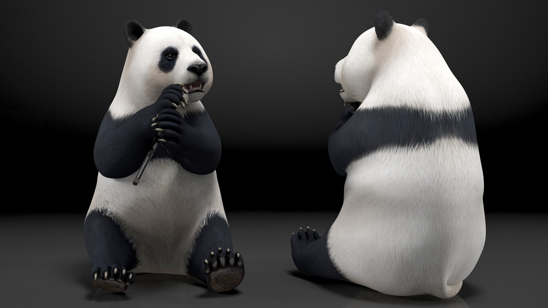 Giant Panda Sitting Pose Model - TurboSquid 1815082