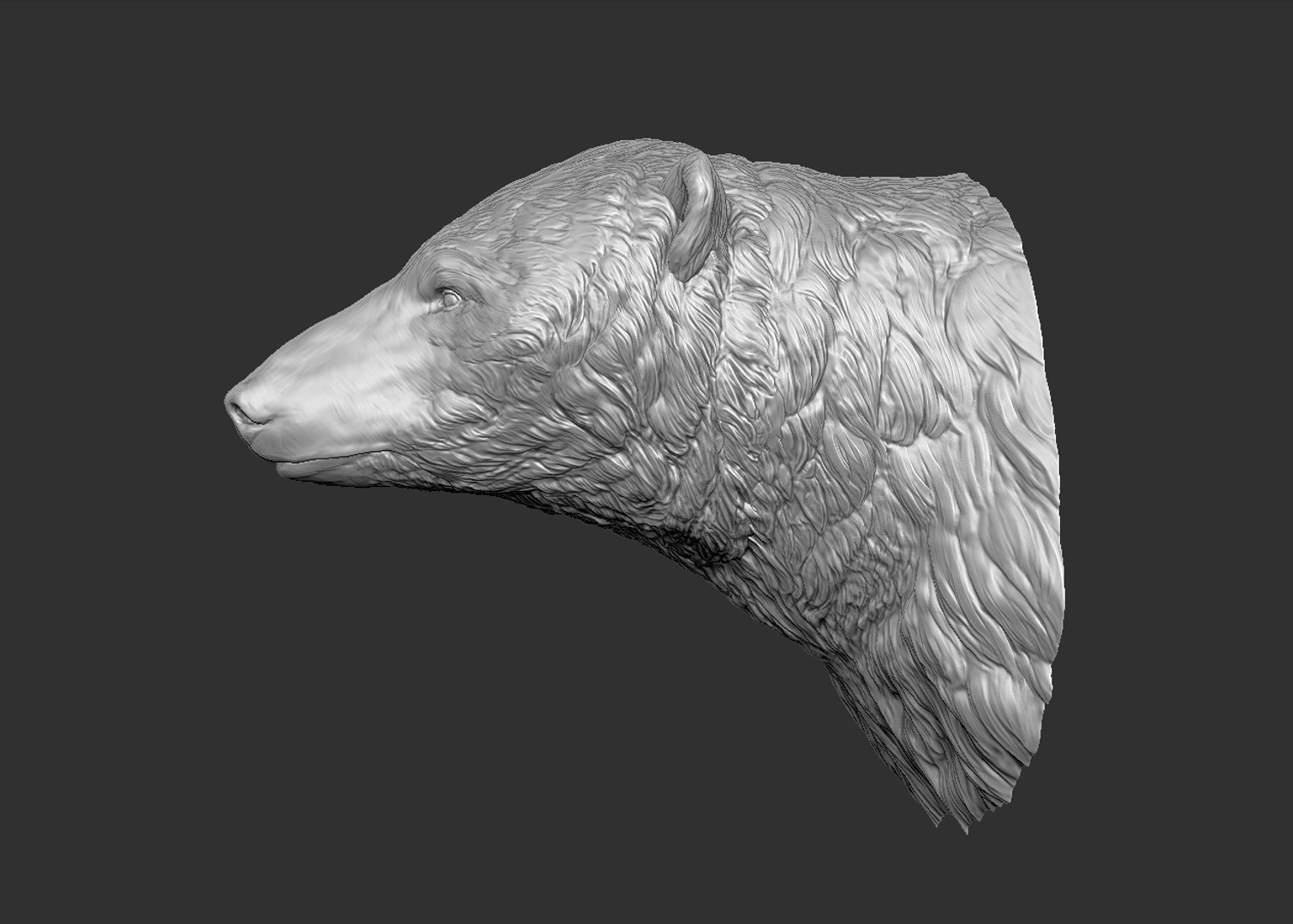 3D Polar Bear Head - TurboSquid 1291246