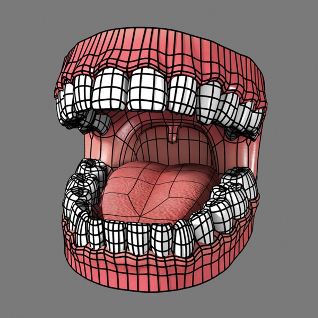 Human Mouth 3d Model