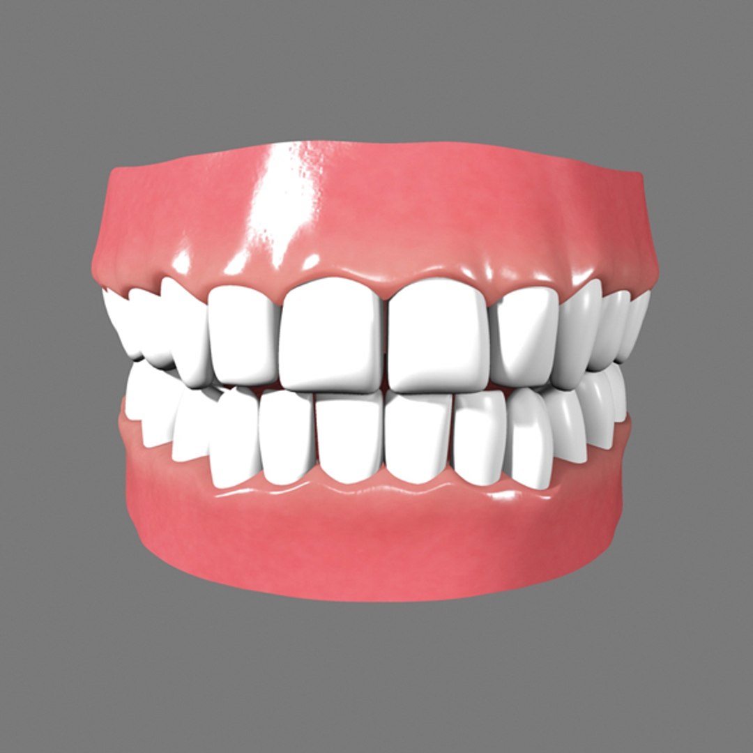 Human Mouth 3d Model