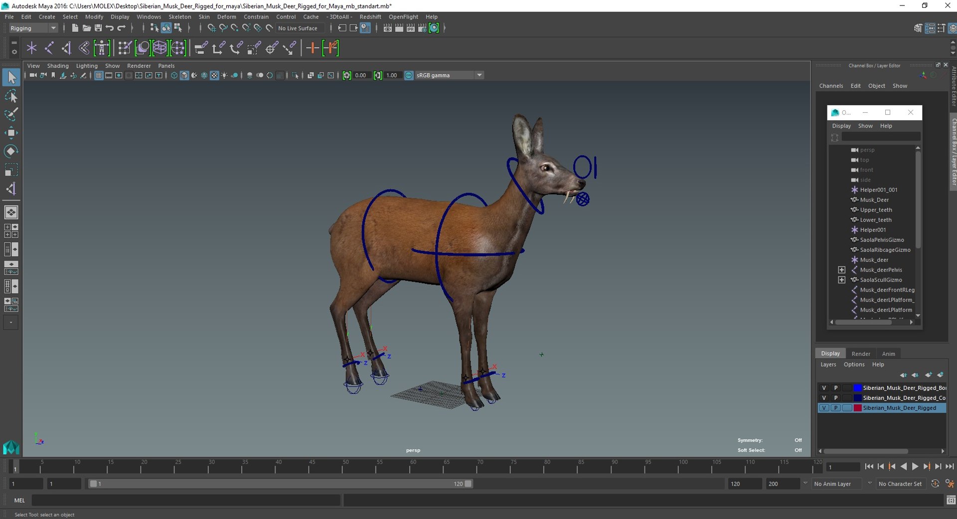 3D Siberian Musk Deer Rigged For Maya Model - TurboSquid 2225106