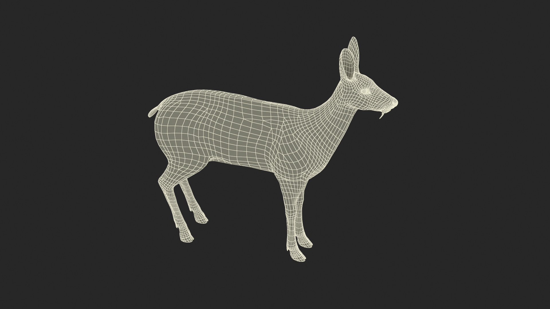 3D Siberian Musk Deer Rigged For Maya Model - TurboSquid 2225106