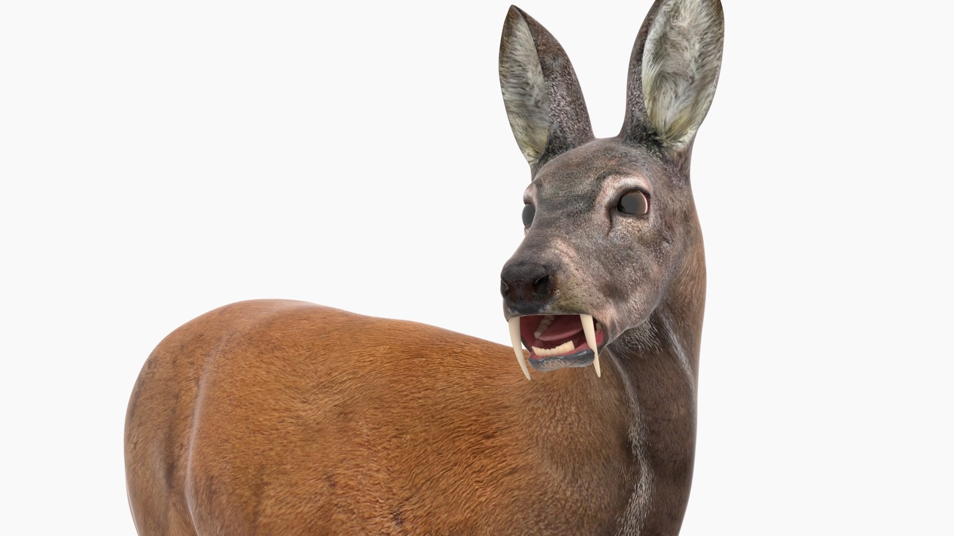 3D Siberian Musk Deer Rigged For Maya Model - TurboSquid 2225106