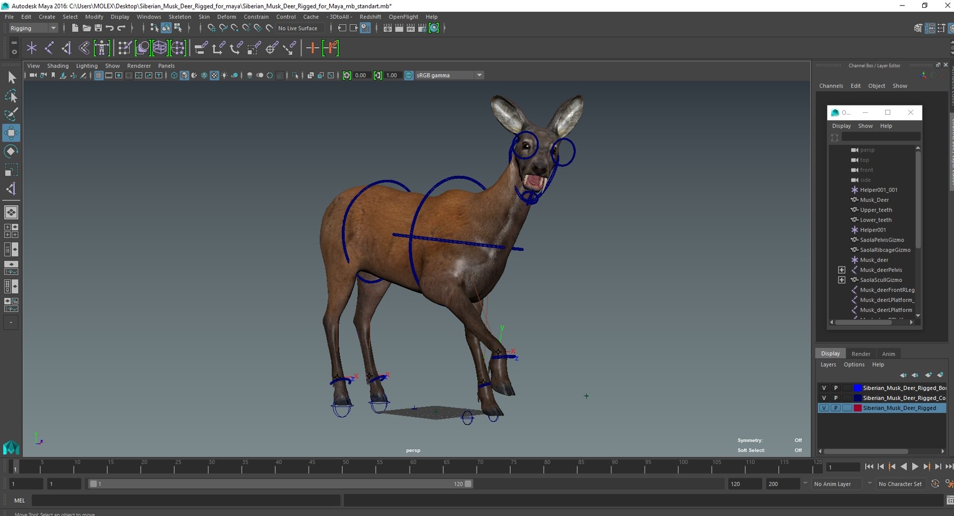 3D Siberian Musk Deer Rigged For Maya Model - TurboSquid 2225106