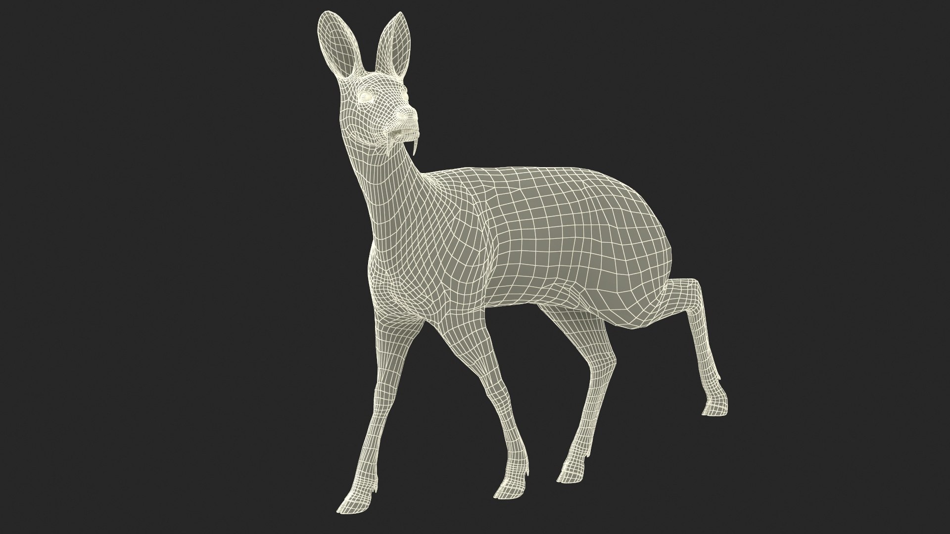 3D Siberian Musk Deer Rigged For Maya Model - TurboSquid 2225106