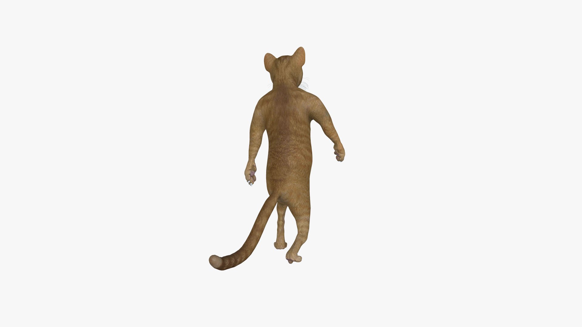 3D PIB-002 Walking Animation - TurboSquid 2026644