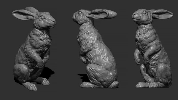 Rabbit STL Models for Download | TurboSquid