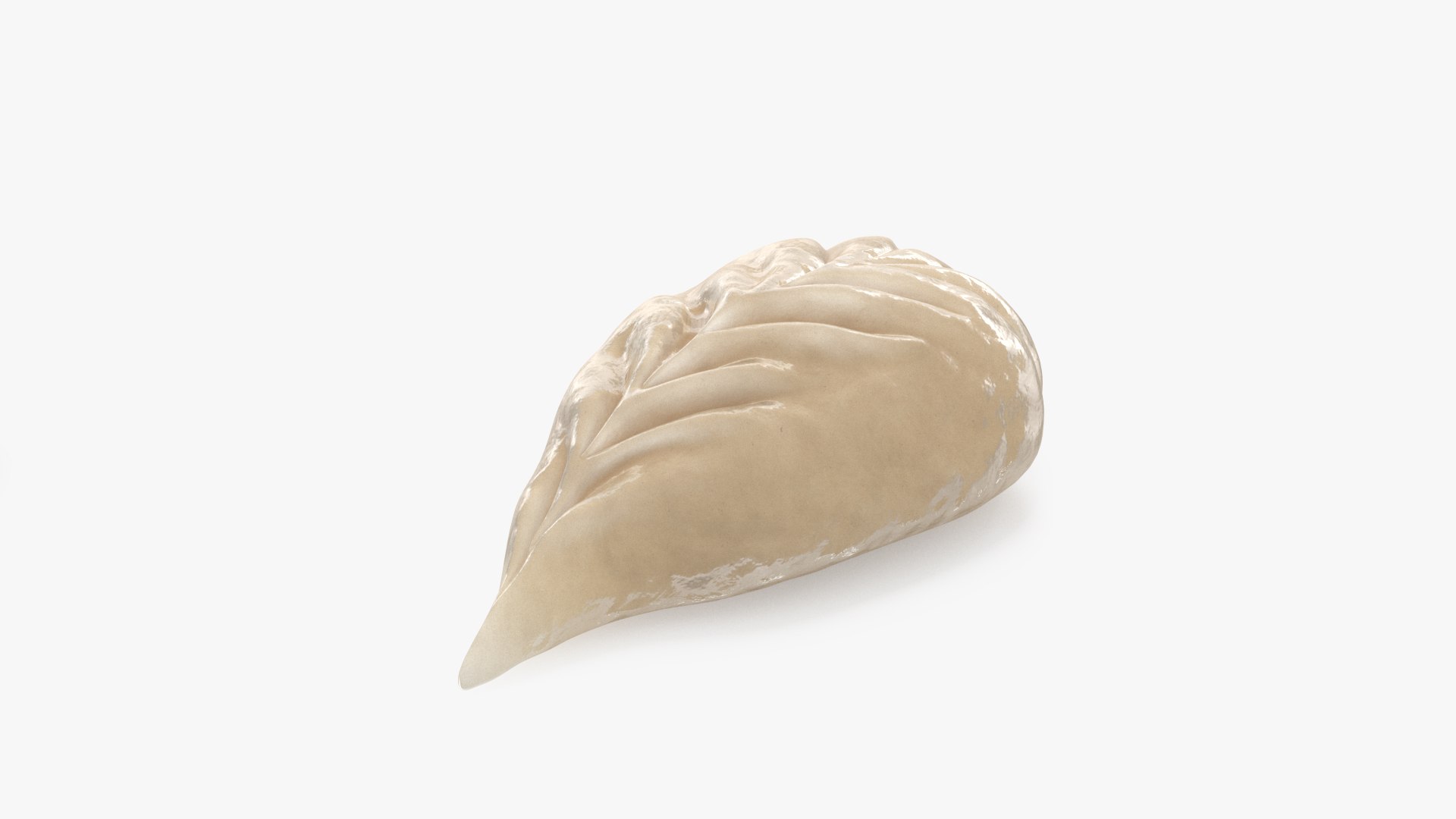 Leaf Shaped Dumpling Cooked 3D Model - TurboSquid 2239821