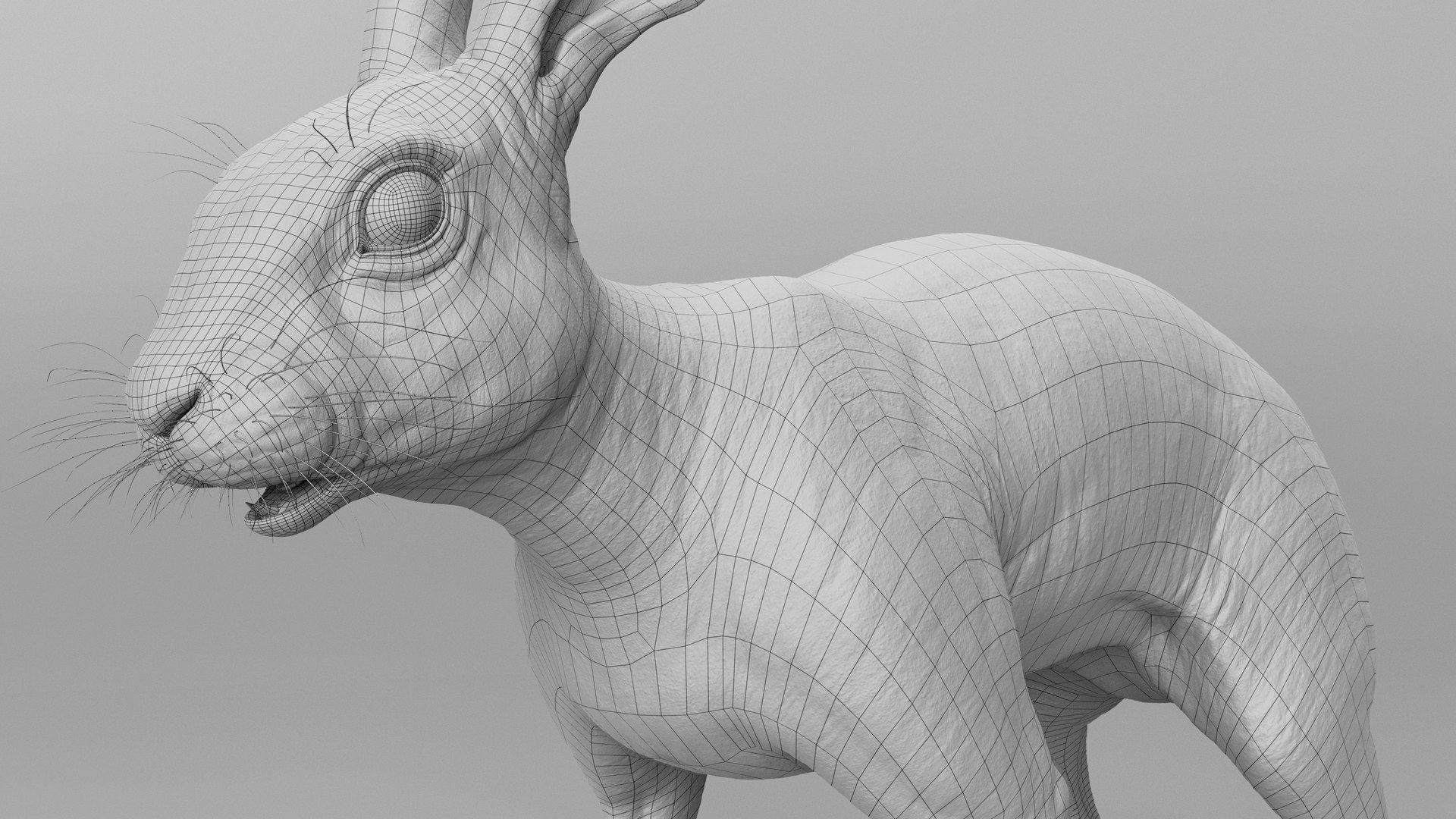 Hare 3D - TurboSquid 2178637