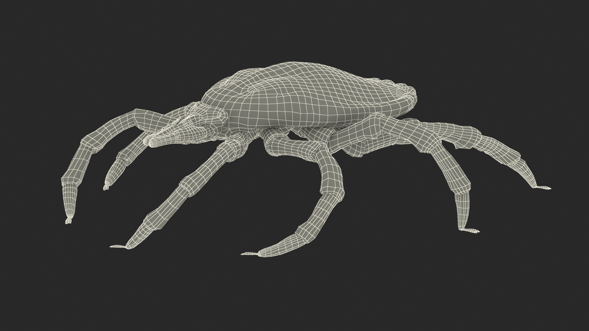 3D Model Tick Rigged - TurboSquid 1853460