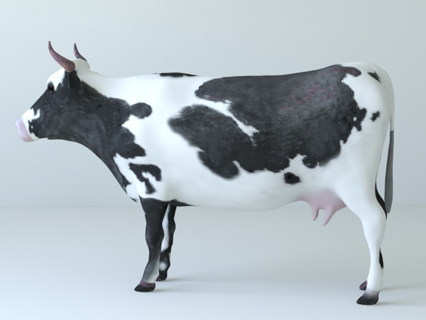 3d Cows Unwrapped Model