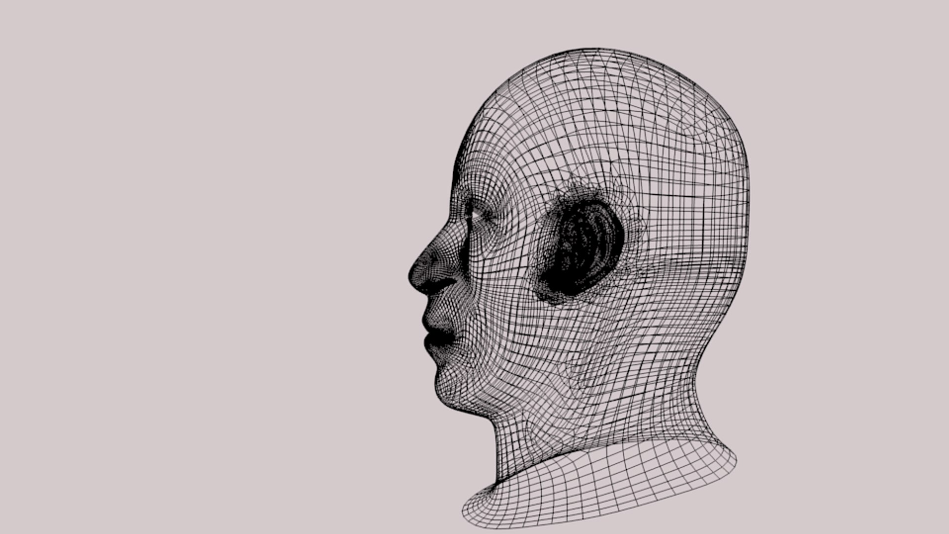 Base Mesh Human Head 3d Obj