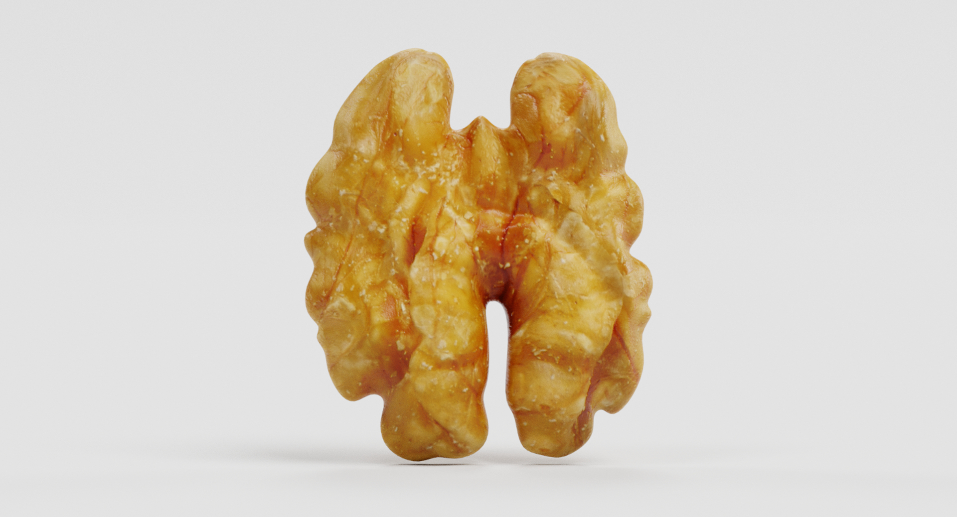 Walnut Pbr 3D - TurboSquid 1239799