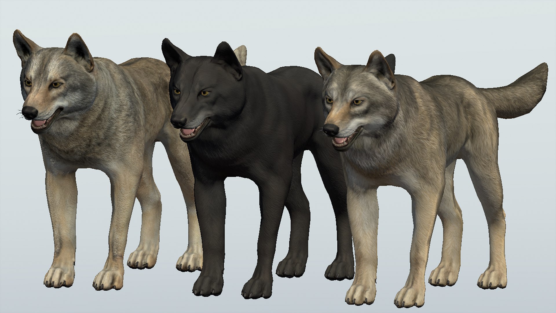 Wolf 3D Model - TurboSquid 1938875