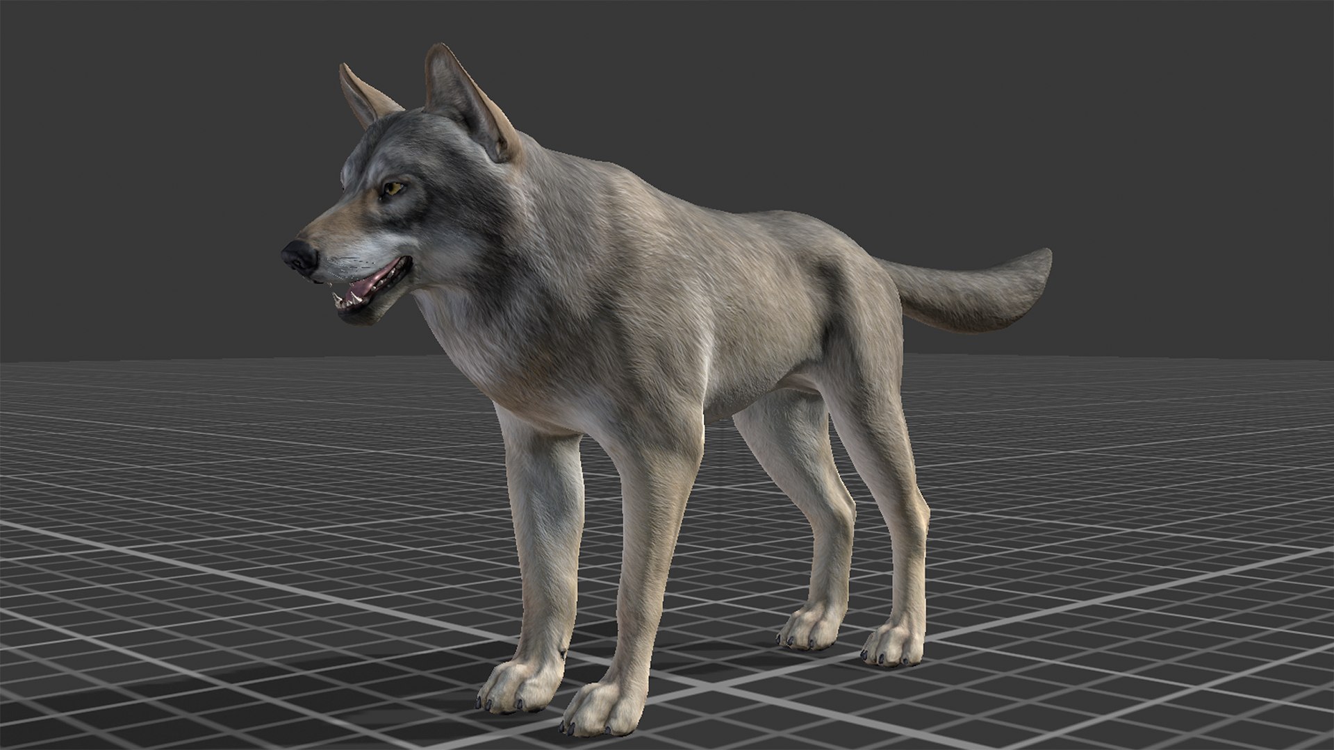 Wolf 3D Model - TurboSquid 1938875