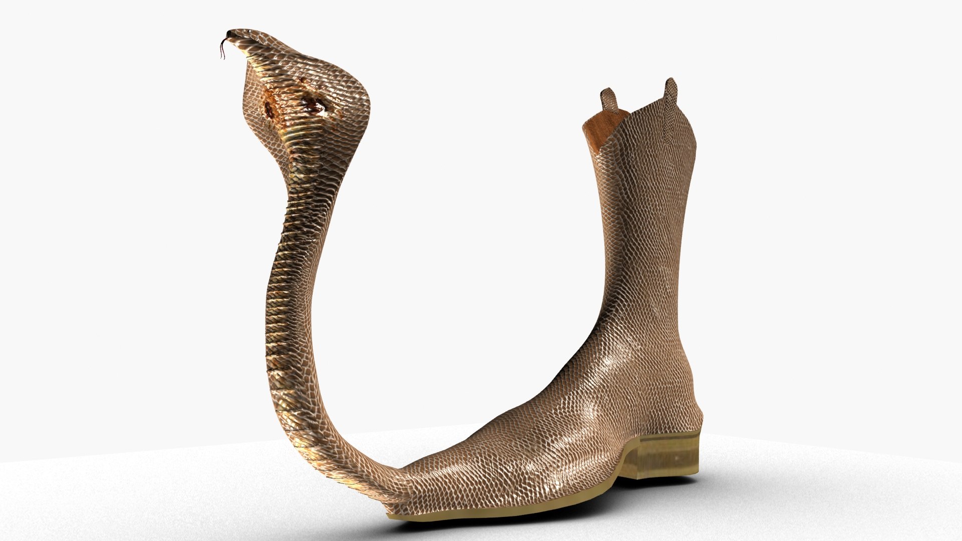 3D Cobra Boot - TurboSquid 1981016
