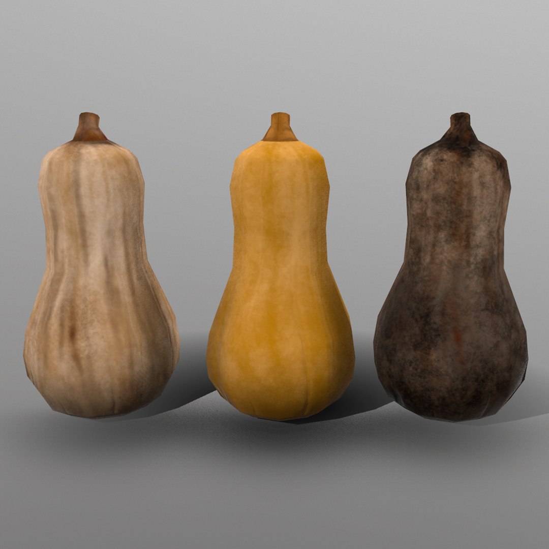 3D Butternut Squash - TurboSquid 1289421