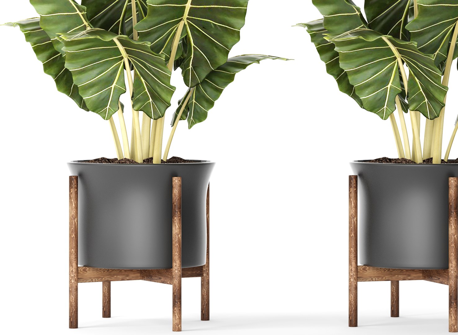 3d model plant pot