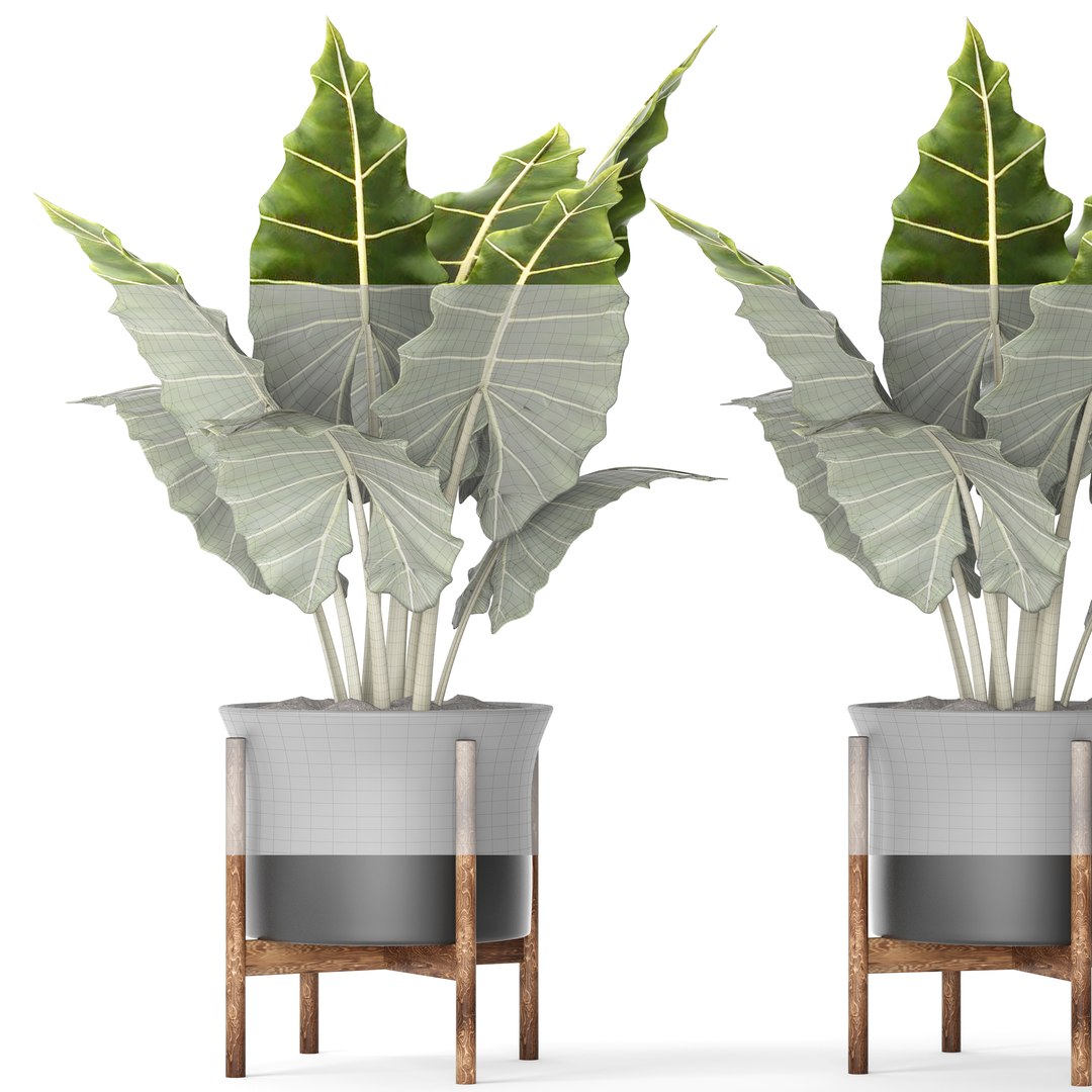 3d model plant pot