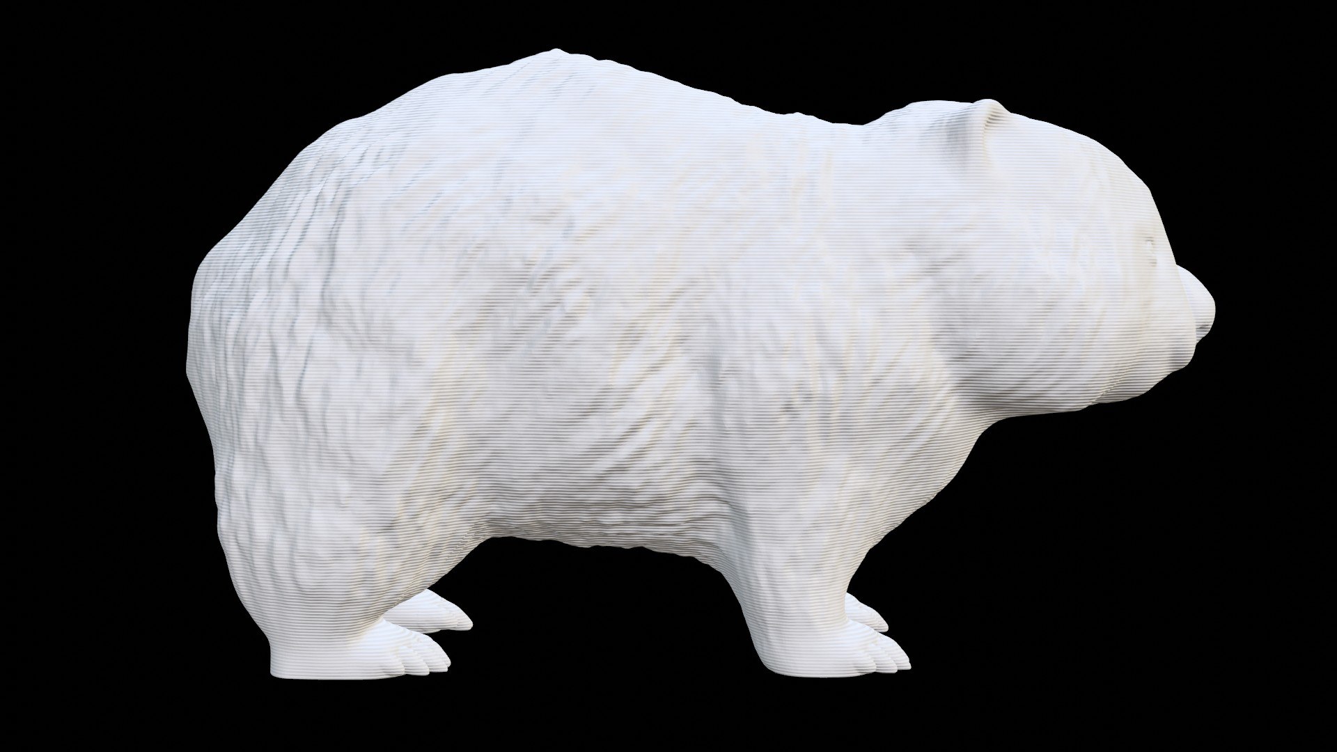 3D Australian Common Wombat - TurboSquid 2049569
