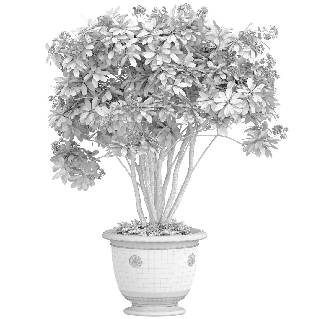 Decorative Flowering Garden Tree With White Flowers In Flowerpot 3D ...