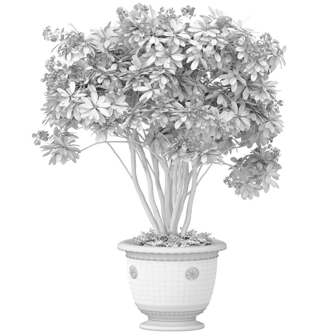 Decorative Flowering Garden Tree With White Flowers In Flowerpot 3D ...