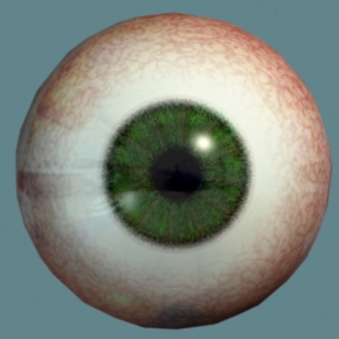 Eyeball Green Eye 3d Model