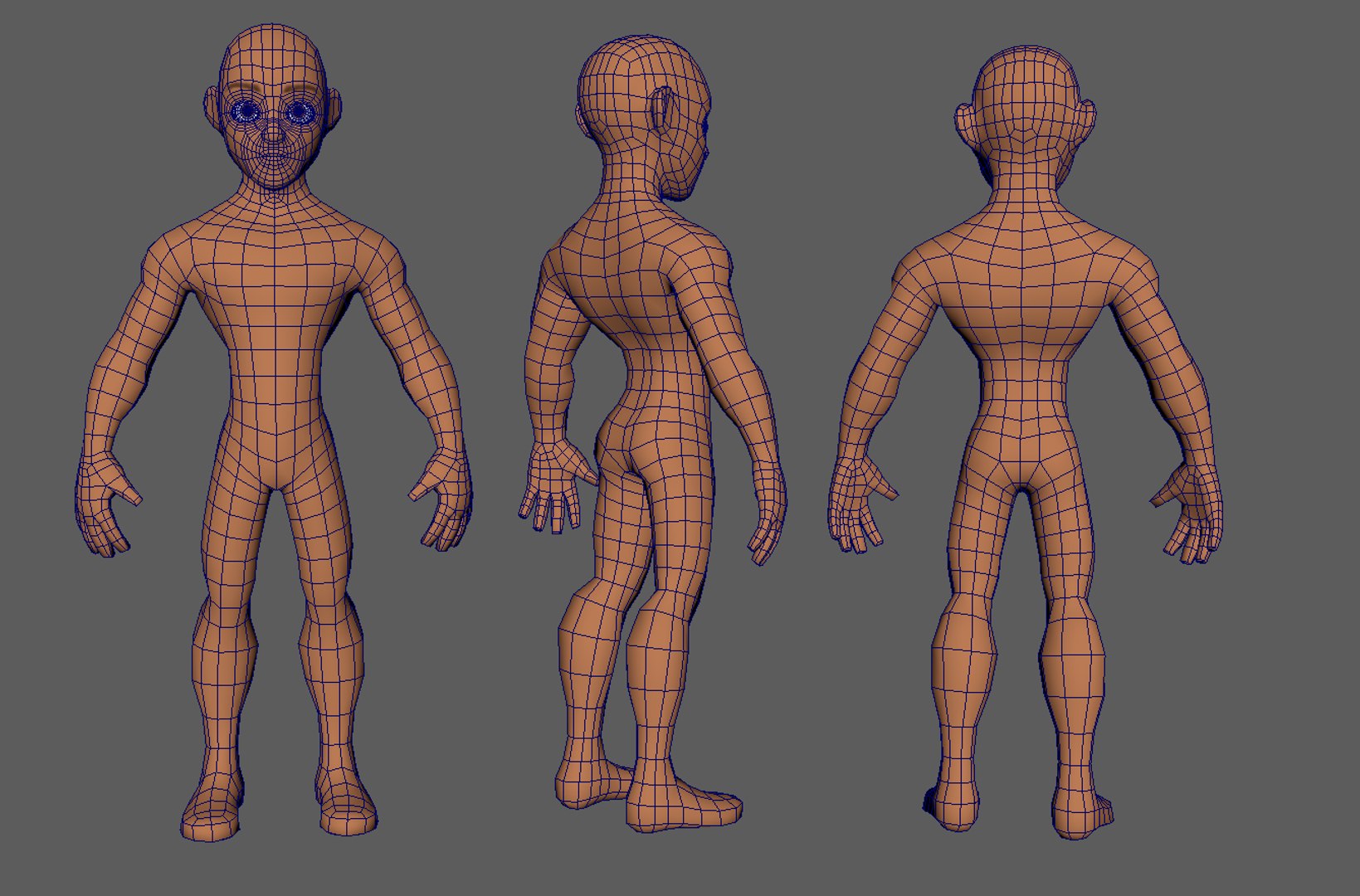 Human Base Mesh 3d Model