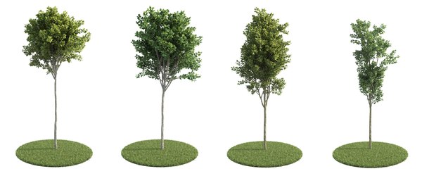 trees pack 3d obj