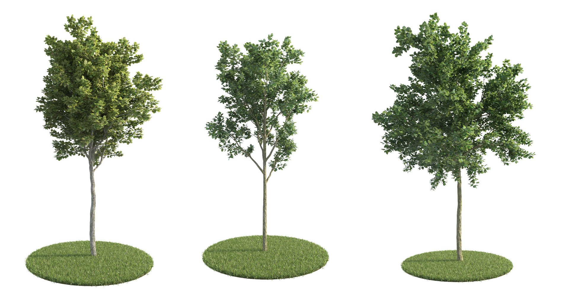 Trees Pack 3d Obj