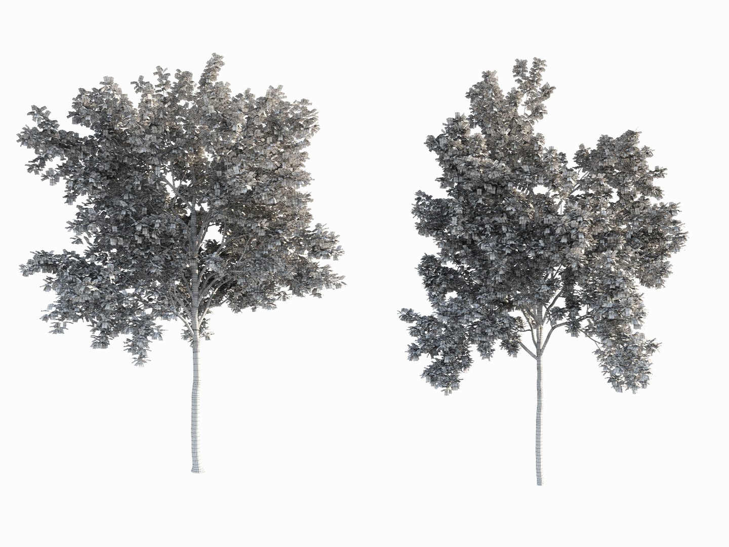 Trees Pack 3d Obj