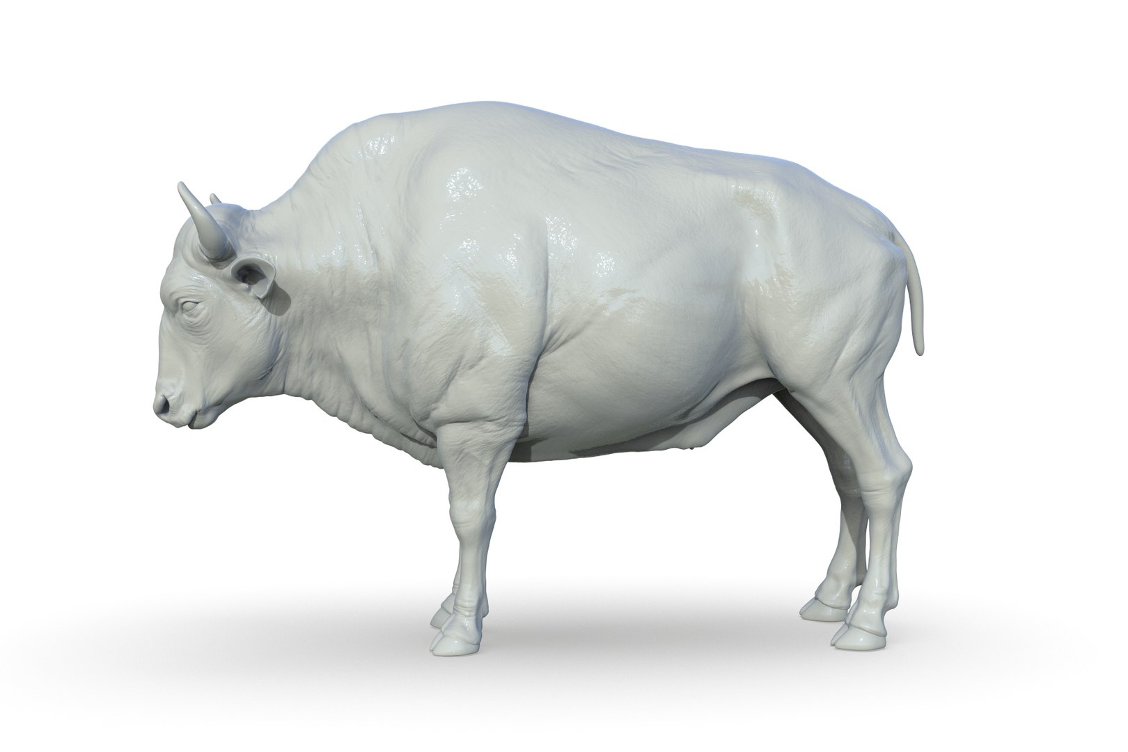 3D Bison - TurboSquid 2205851