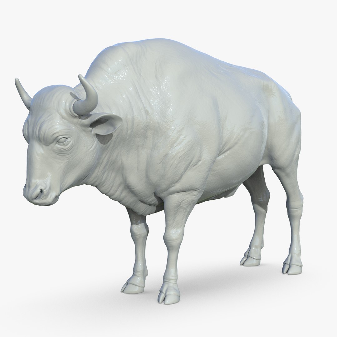 3D Bison - TurboSquid 2205851