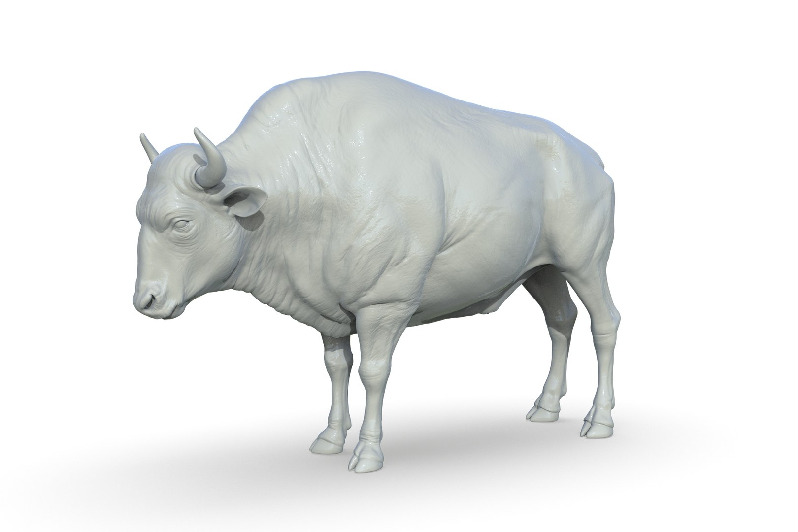 3D Bison - TurboSquid 2205851