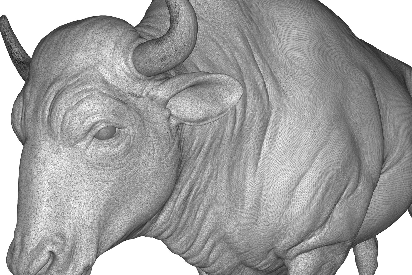 3D Bison - TurboSquid 2205851
