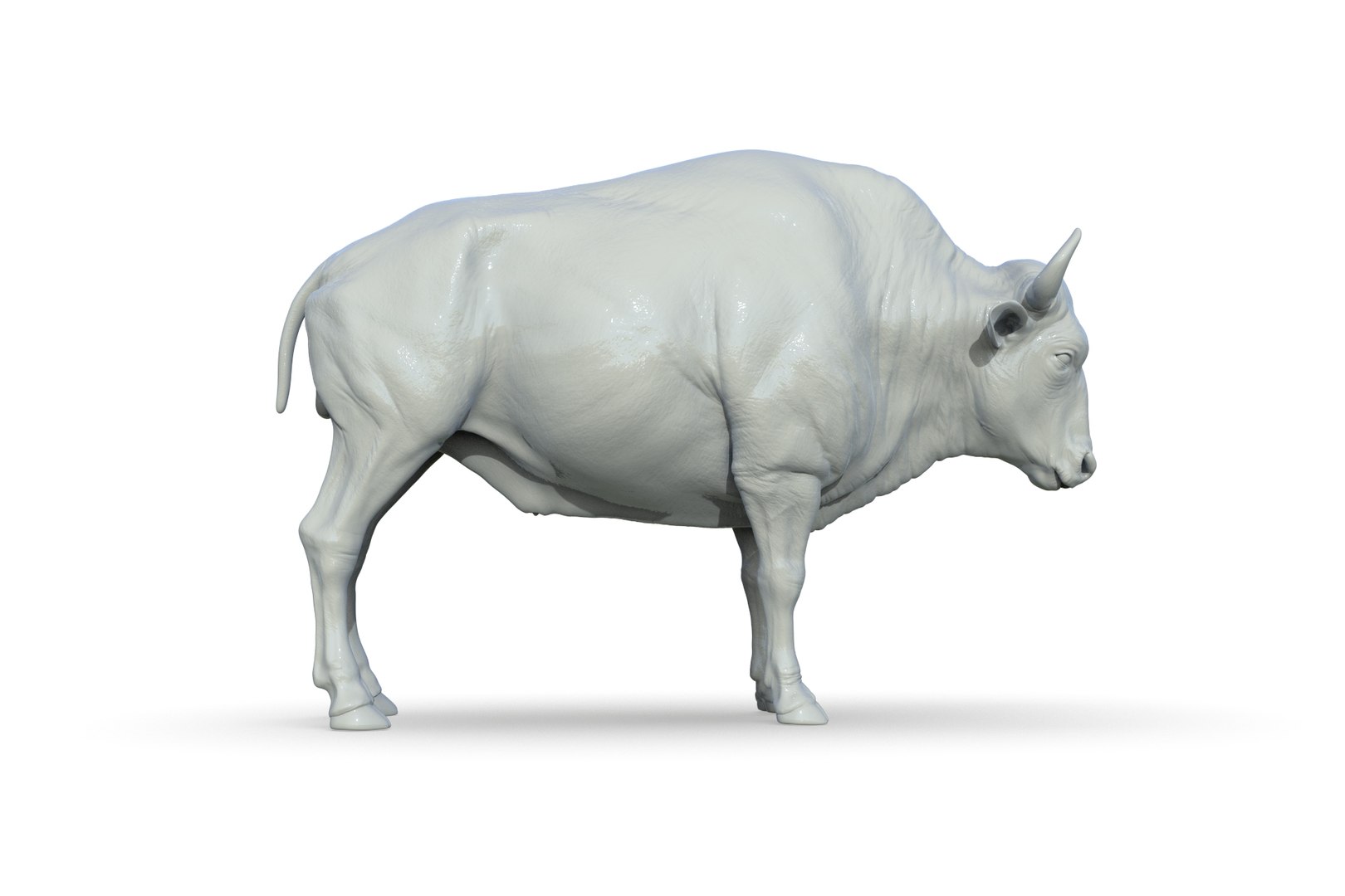 3D Bison - TurboSquid 2205851