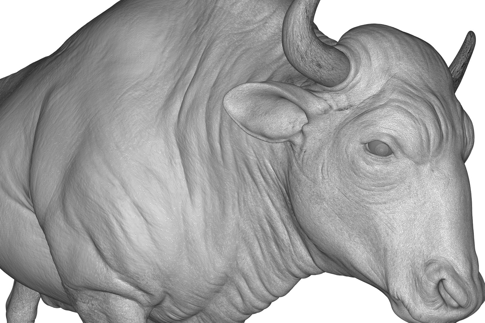 3D Bison - TurboSquid 2205851