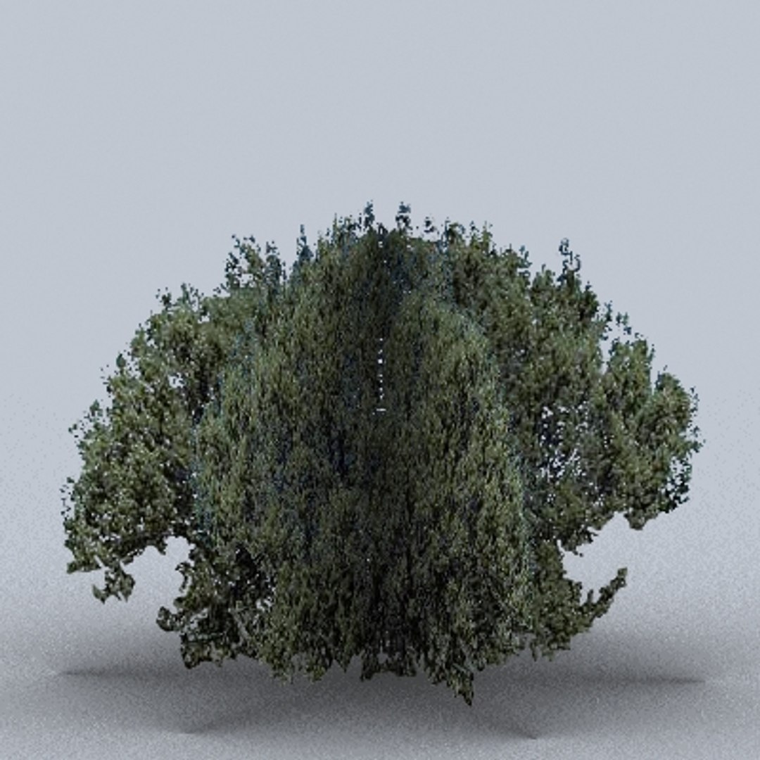 Tree Bush 3d Model