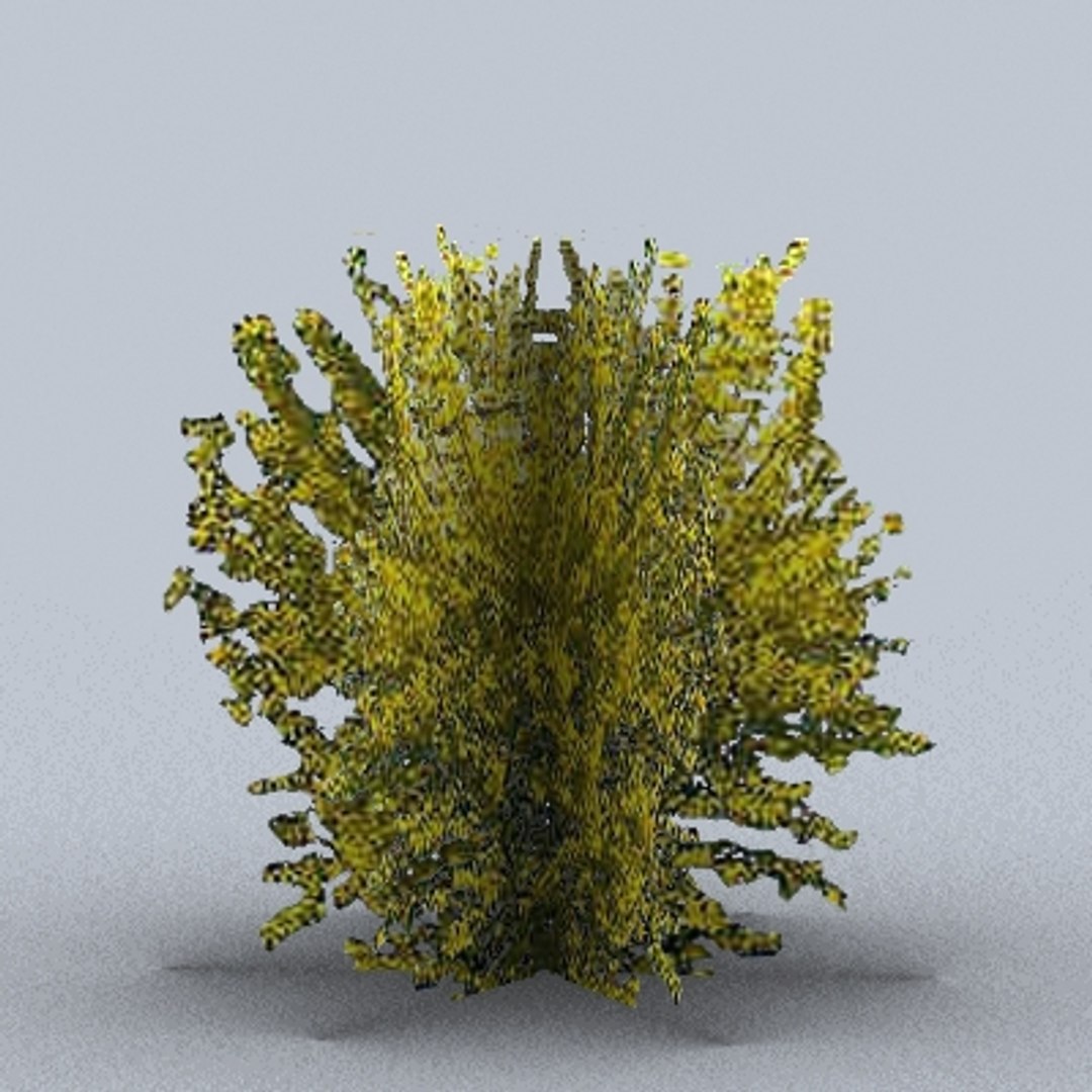 Tree Bush 3d Model