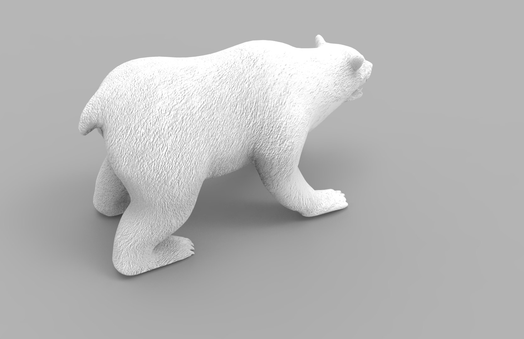 3D Model Bear Rigged - TurboSquid 1254520