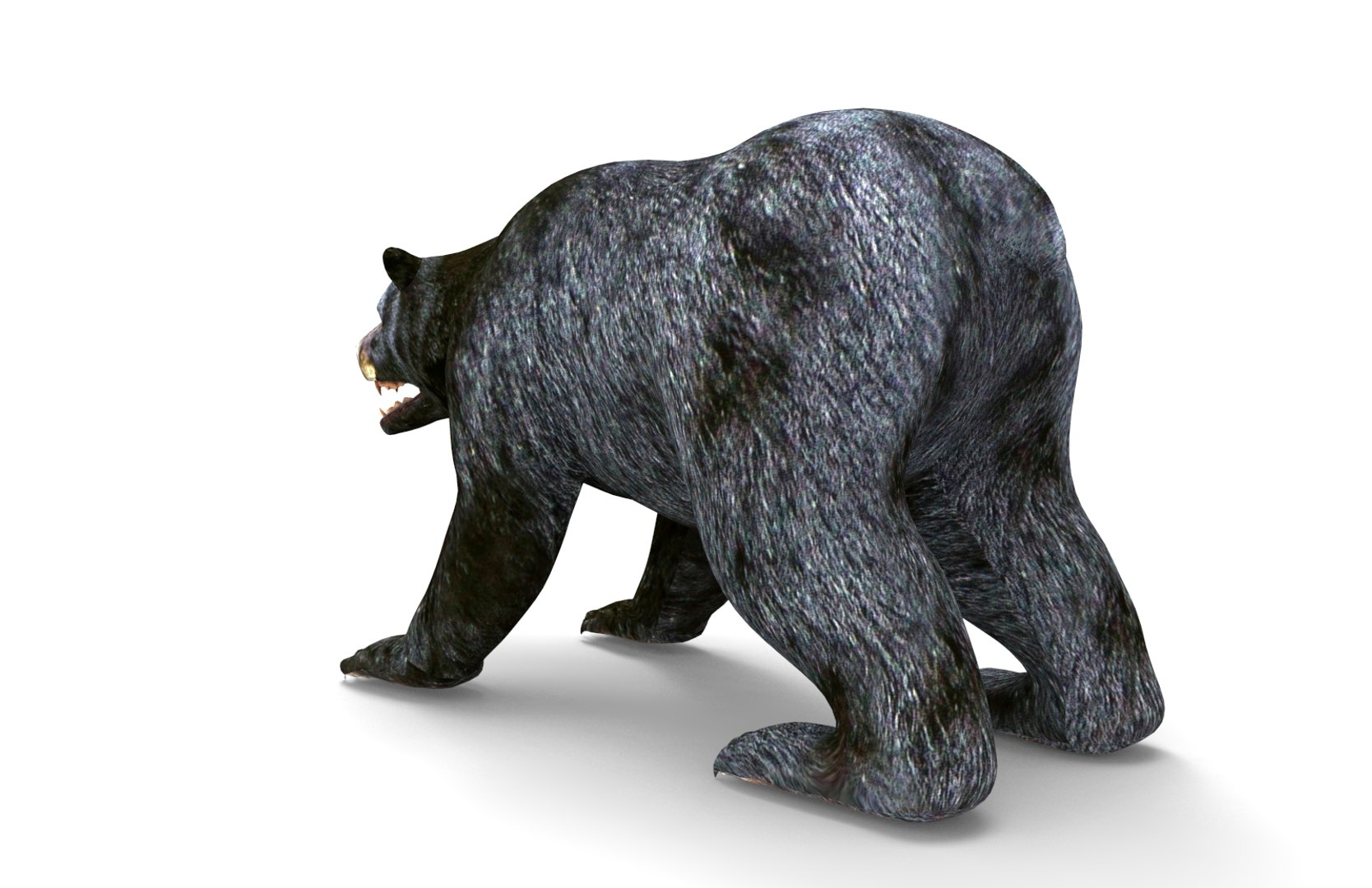 3D Model Bear Rigged - TurboSquid 1254520