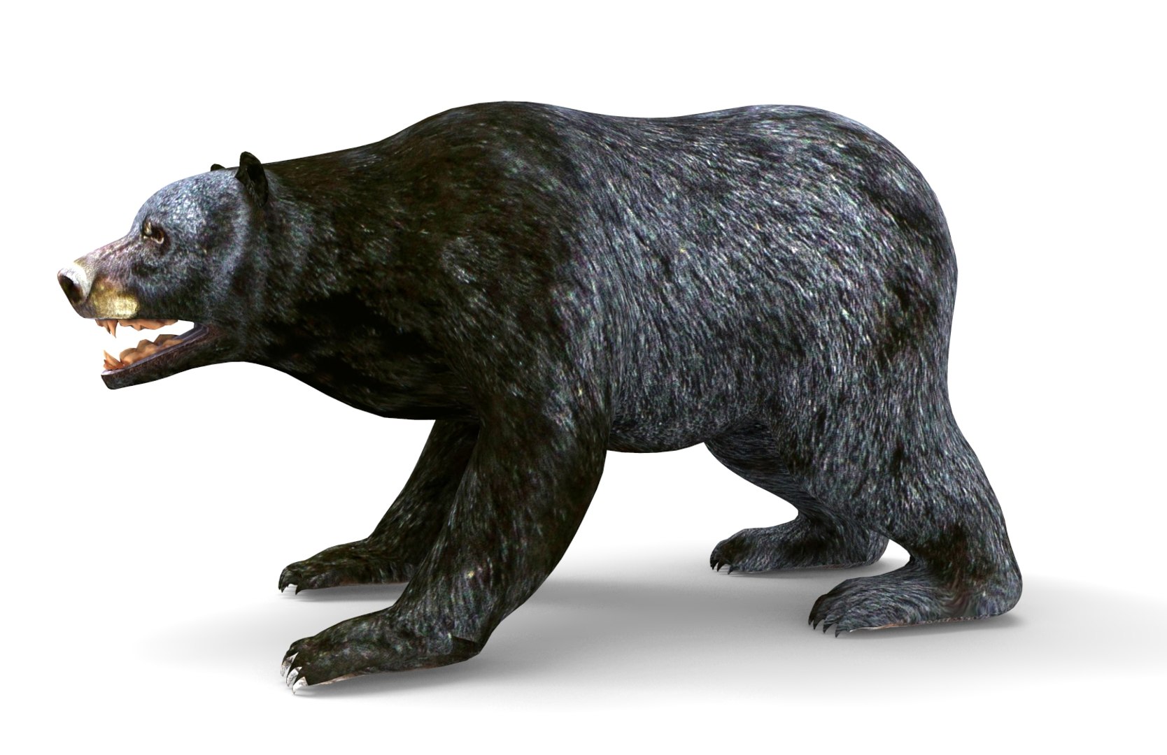 3D Model Bear Rigged - TurboSquid 1254520