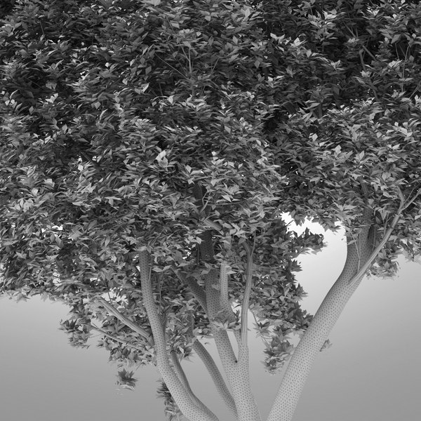 hi realistic series tree 3d max