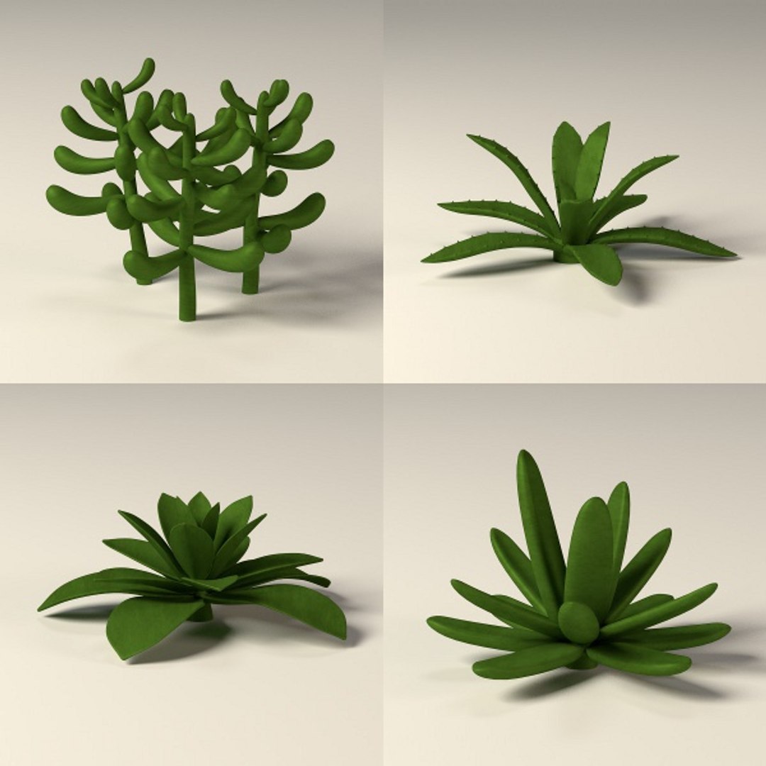Suculent Plants 3d C4d